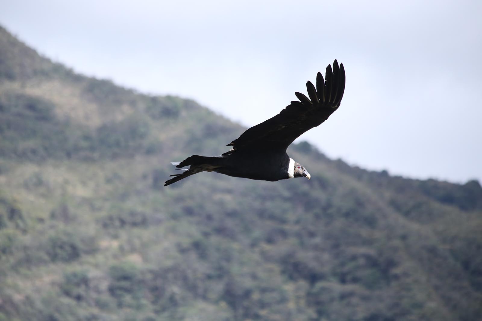 Chingaza national park: A spectacular escape from Bogotá