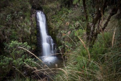 Chingaza national park: A spectacular escape from Bogotá