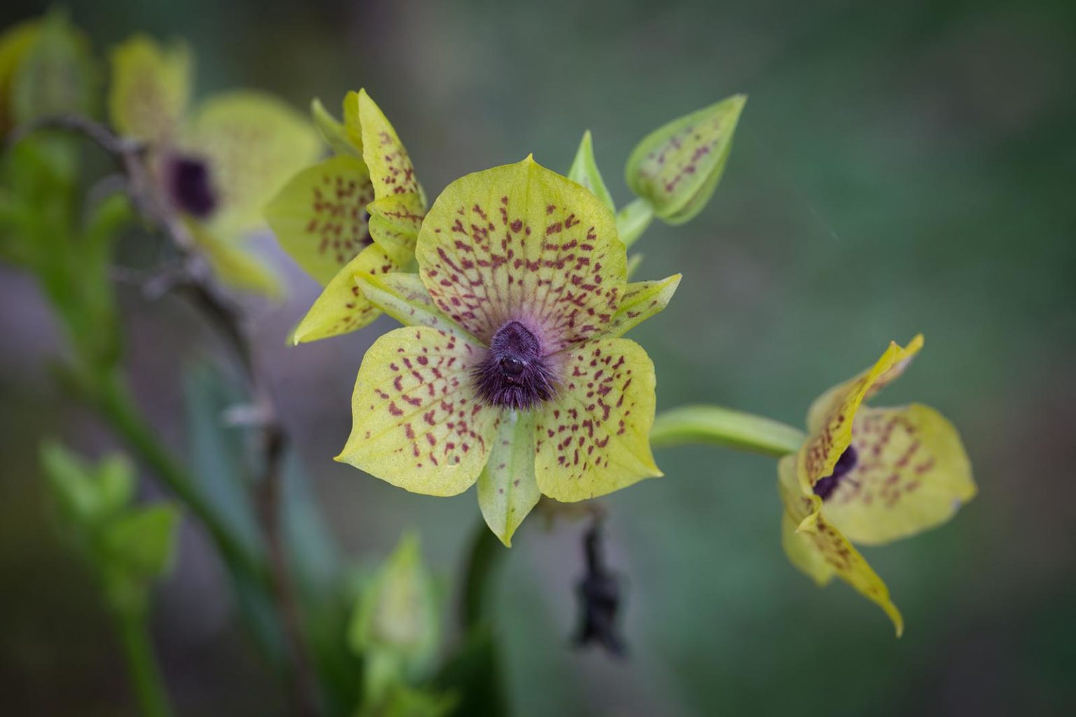 Chingaza national park: A spectacular escape from Bogotá