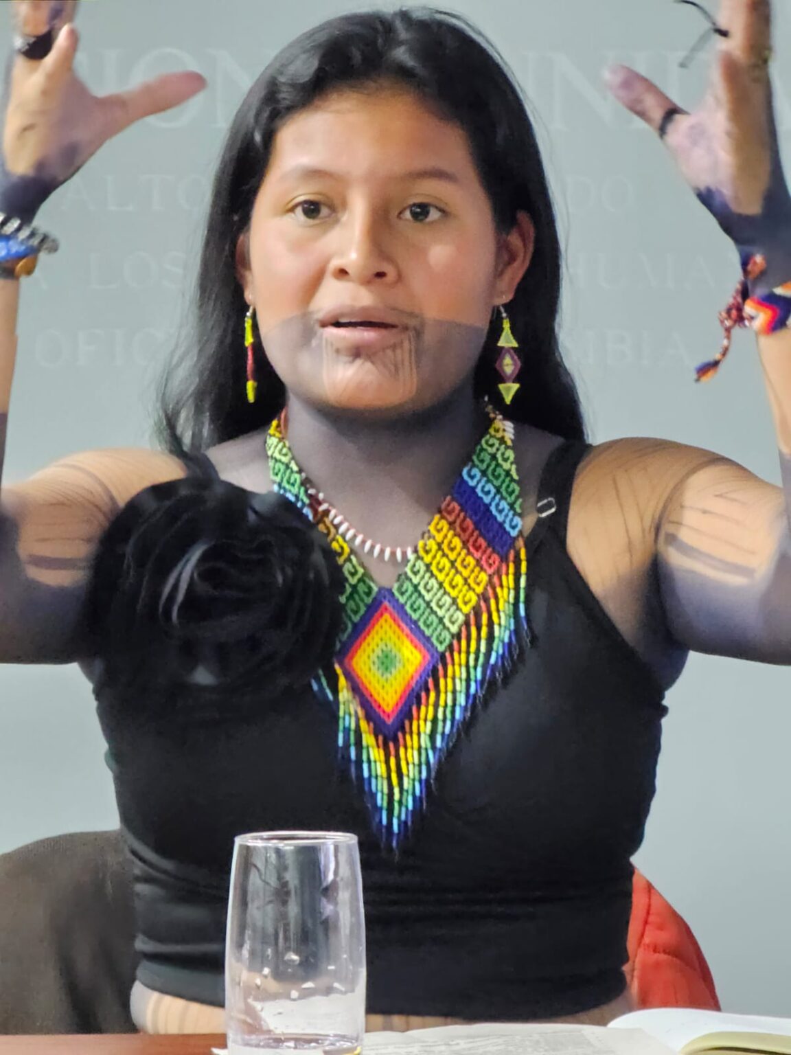 Meet Astrid and Ilsa, two Indigenous leaders fighting for women’s ...
